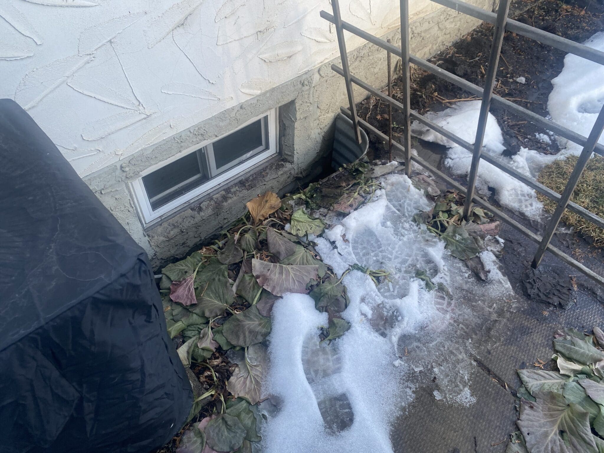 Brighten Your Basement: Maximizing Light with Effective Window Well ...